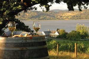 Tamar Valley | Must-See Places Tasmania