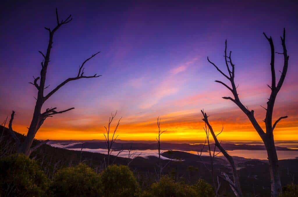 Devil's Gullet Lookout | Tasmania Travel Guide