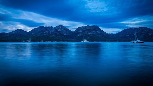 At The Bay Dove Coles Bay | Tasmania Accommodation
