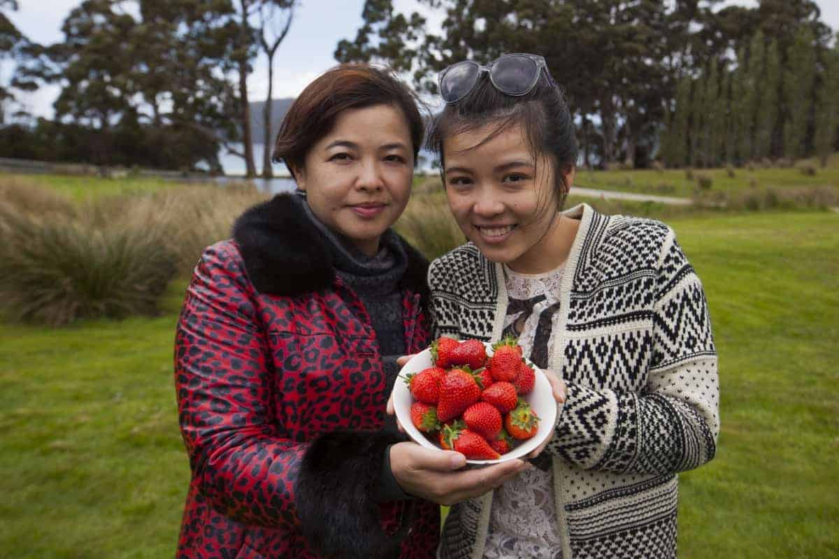 Bruny Island Food Tour | Gourmet Food & Beautiful Views