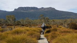 The Overland Track in Tasmania | Tasmania Travel Guide