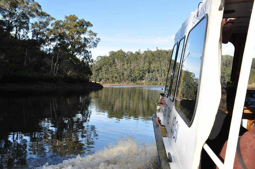 Leven River Cruises - Scenic & Historic | Activities in Tasmania