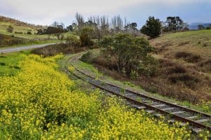 Derwent Valley Map | Must-See Places Tasmania