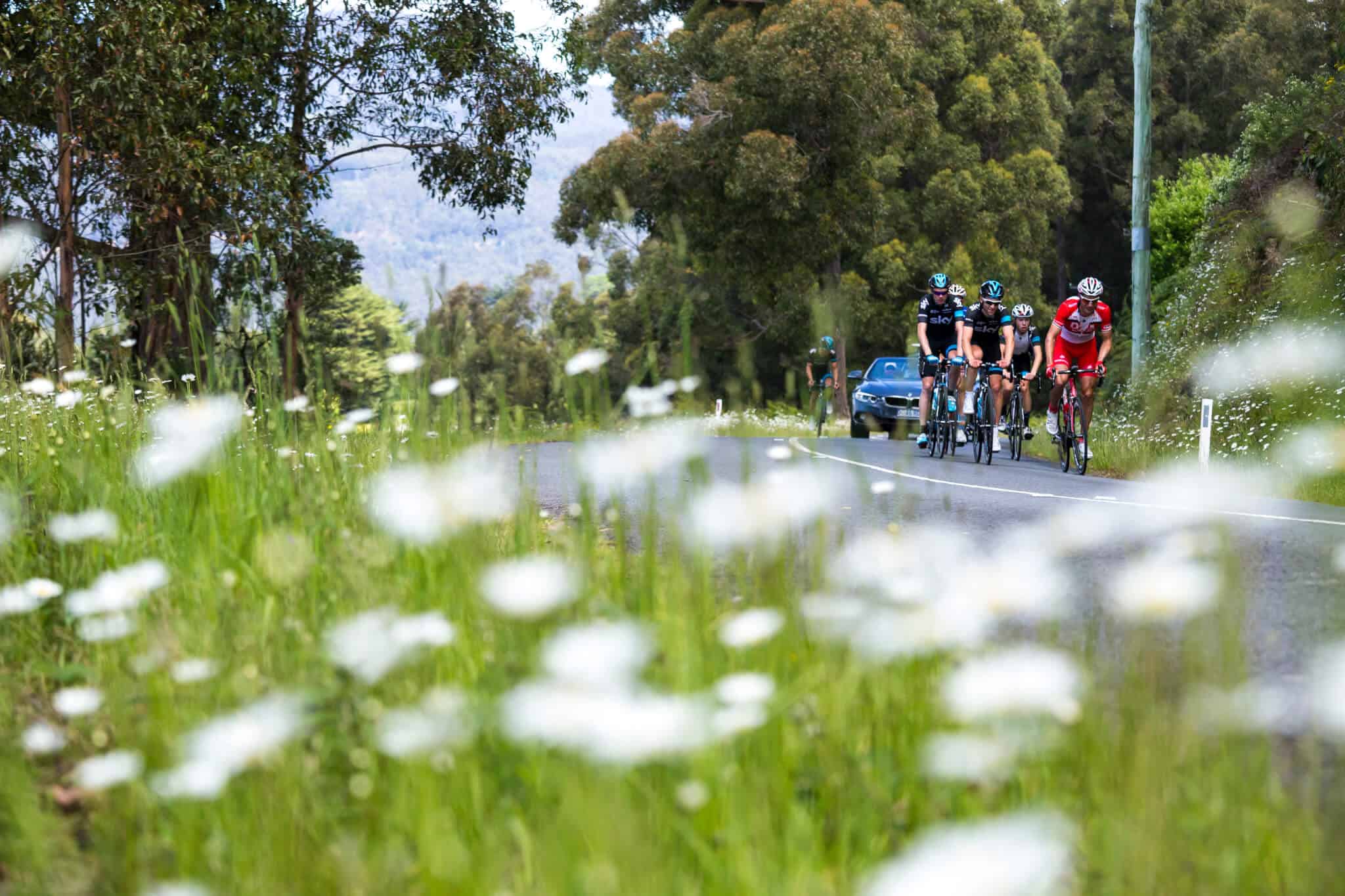 Geeveston, Tasmania – Gateway to Southern Forests and Timber Heritage
