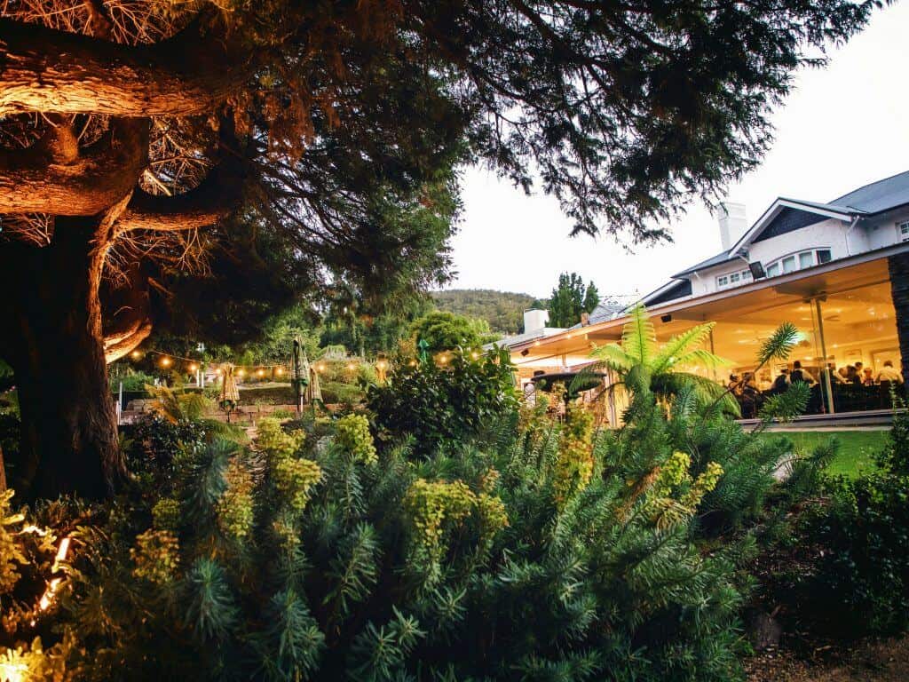 Rosny Hill Lookout - Must See Attractions & Things To Do