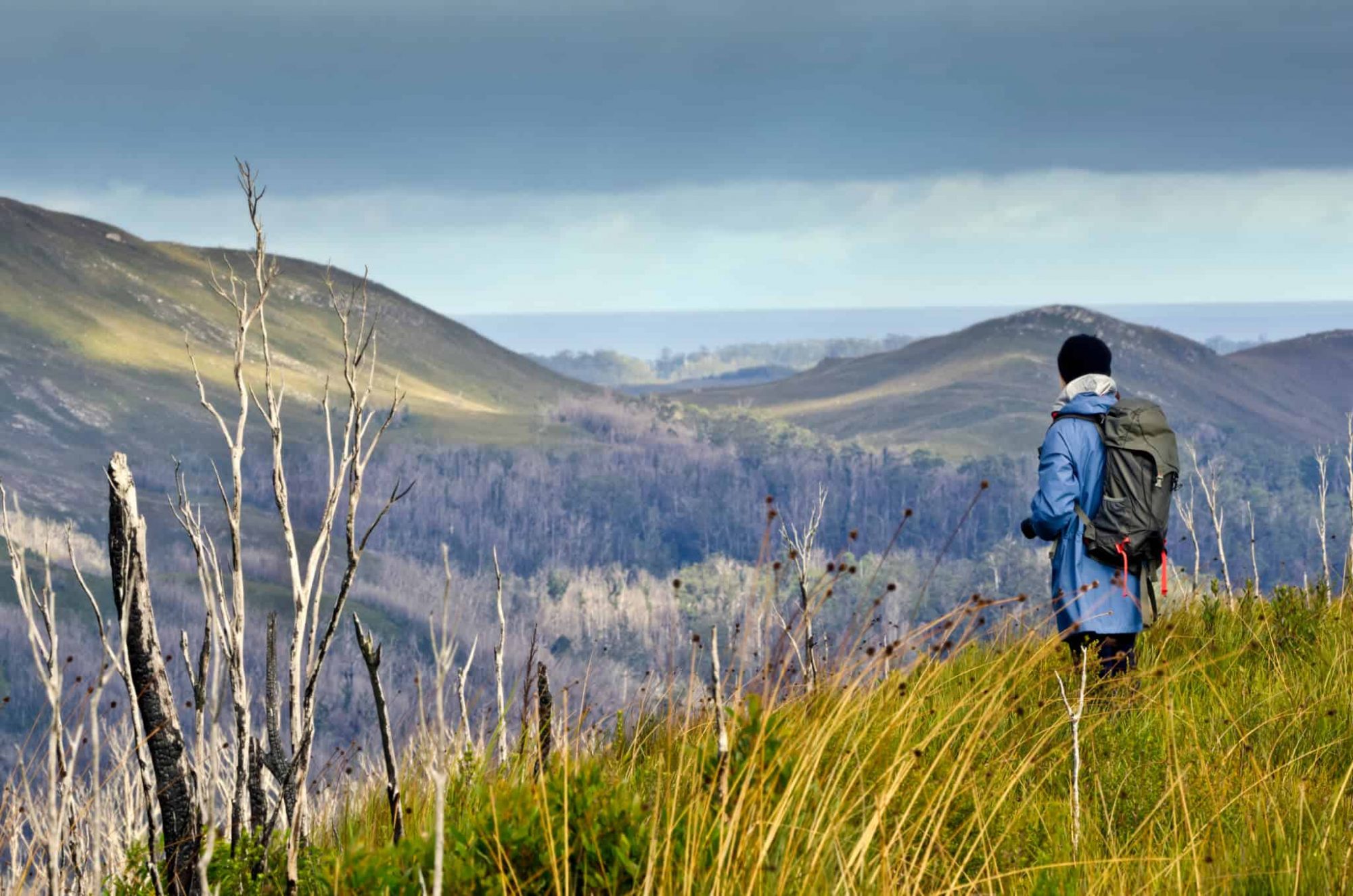 5-Day Takayna / Tarkine Wilderness Adventure: Explore Tasmania’s Beauty