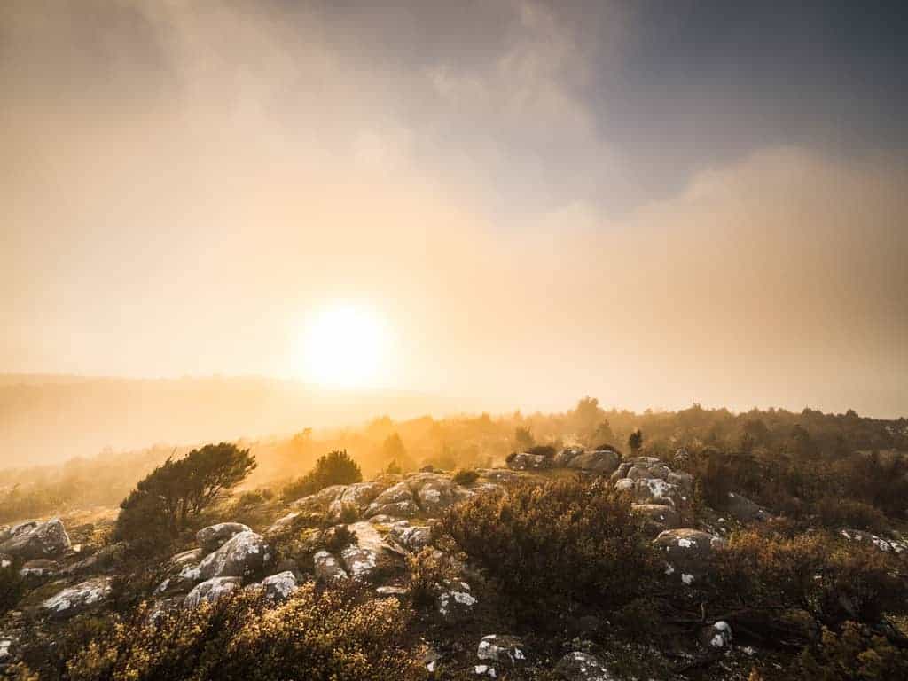 Blue Derby Pods Ride: Tasmania's Ultimate Mountain Biking Adventure