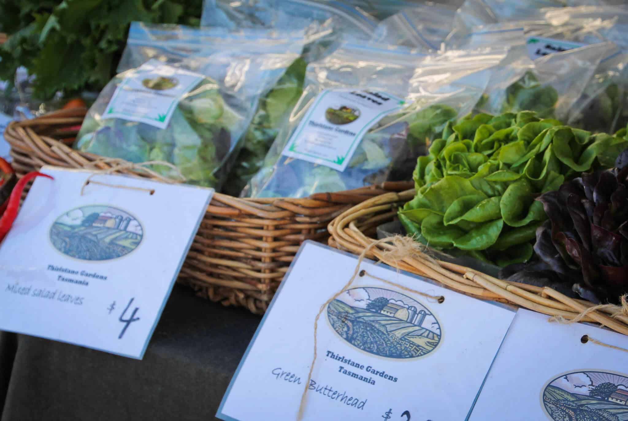 Taste of The Harvest Festival | Tasmania Events