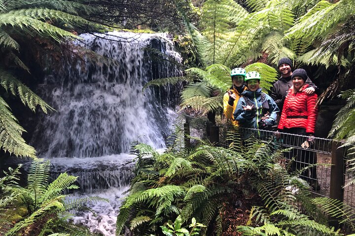Moun tain Bike Tour & Rainforest Adventure Ride | Tasmania Tours