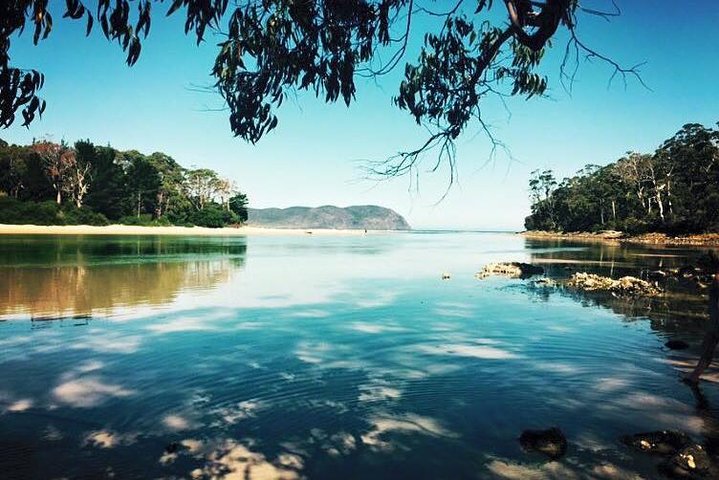 Full-Day Guided Bruny Island Tour | Activities in Tasmania