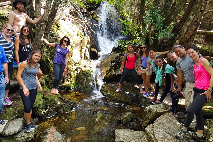 Explore Tasmania's West and East Coasts | Tasmania Activities