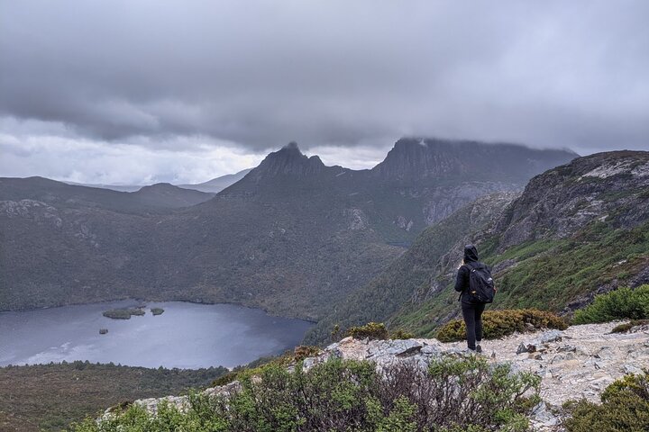 Best of Tasmania Tour from Hobart | Tasmania Activities