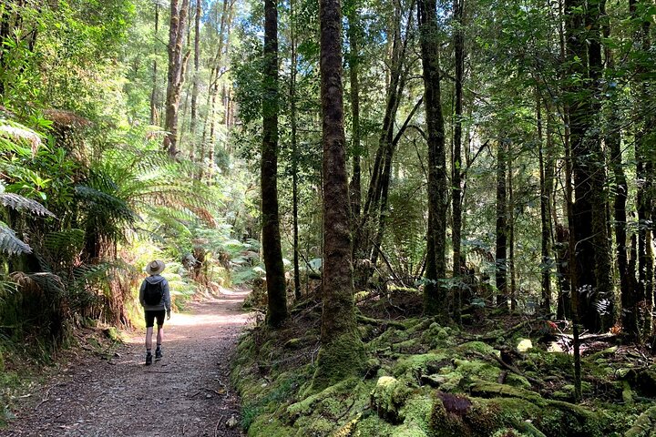 Best of Tasmania Tour from Hobart | Tasmania Activities