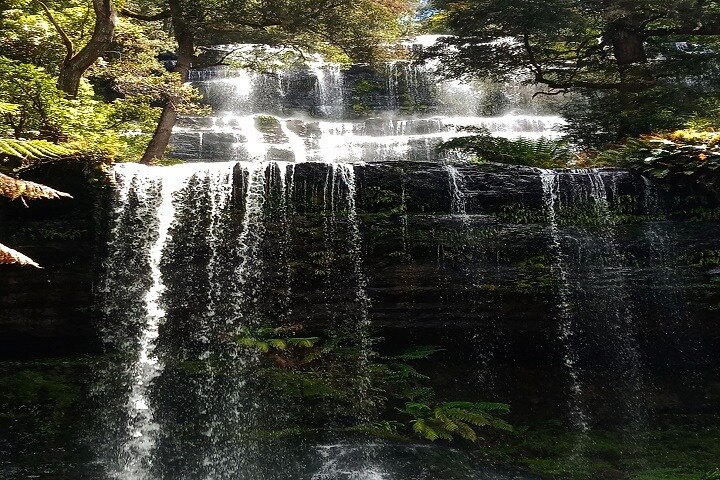 Mt Field National Park and Russell Falls | Tasmania Tours