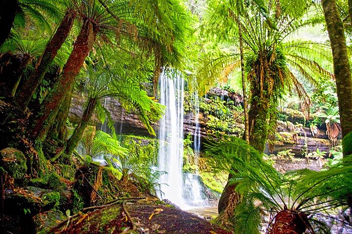 Mt Field National Park and Russell Falls | Tasmania Tours