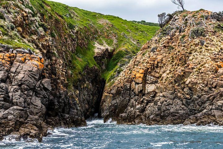 Sightseeing Cruise & Iron Pot Lighthouse | Activities in Tasmania