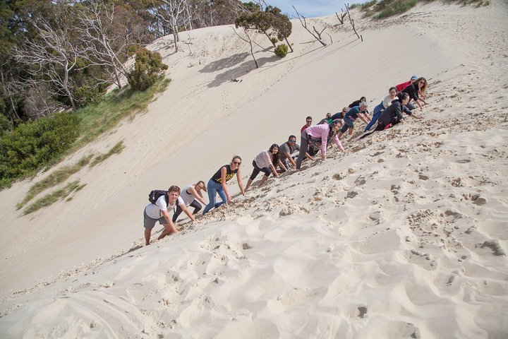 Tasmanian Explorer Adventure Tour from Hobart | Tasmania Activities