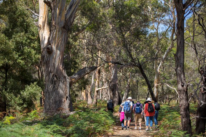 Maria Island Active Day Tour| Activities in Tasmania