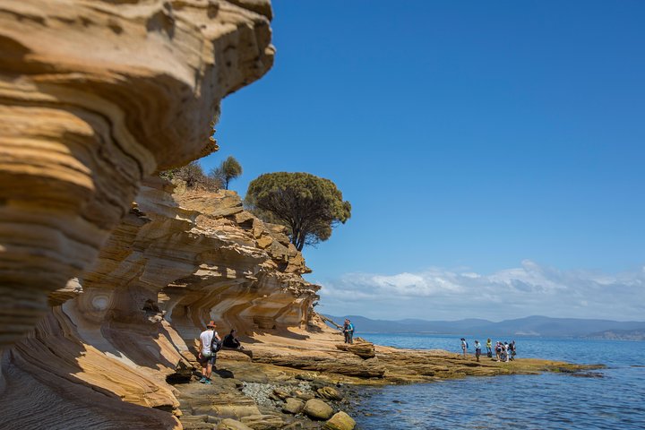 Maria Island Active Day Tour| Activities in Tasmania