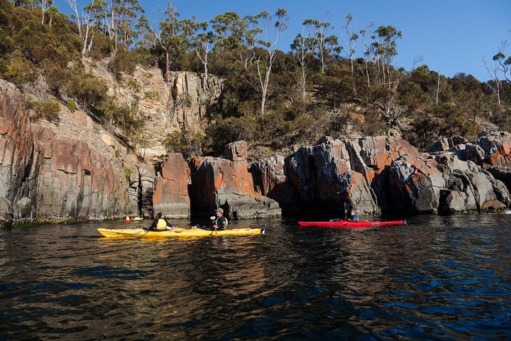 Cliffs, Caves and Beaches Kayak Tour | Tasmania Activities