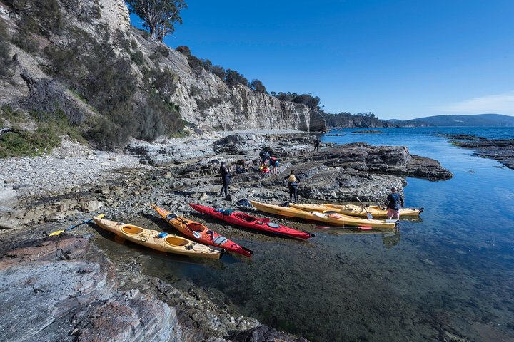 Cliffs, Caves and Beaches Kayak Tour | Tasmania Activities