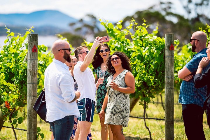 Tasmanian Wine Tour | Activities in Tasmania