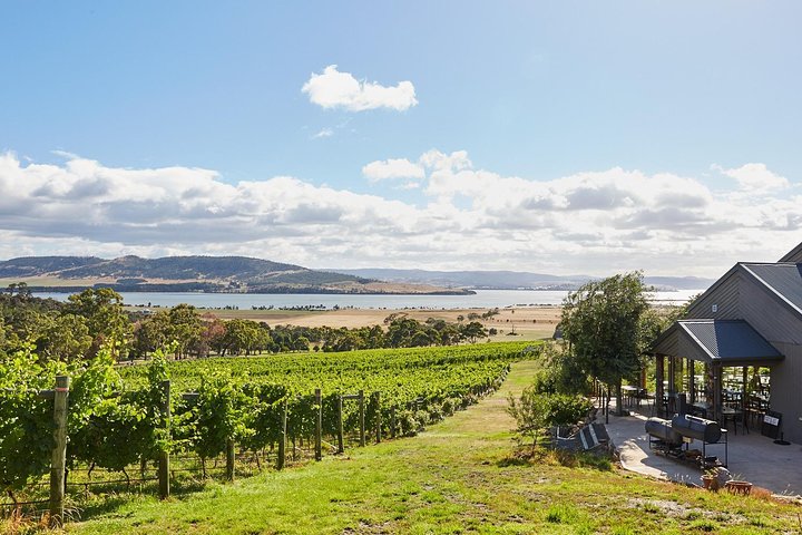 Private West Tamar Wine Tour | Activities in Tasmania