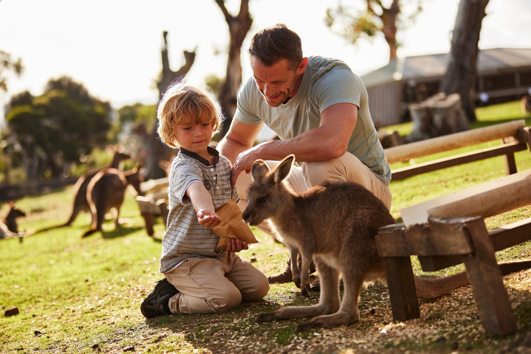 Tasmanian Devils and Richmond | Activities in Tasmania