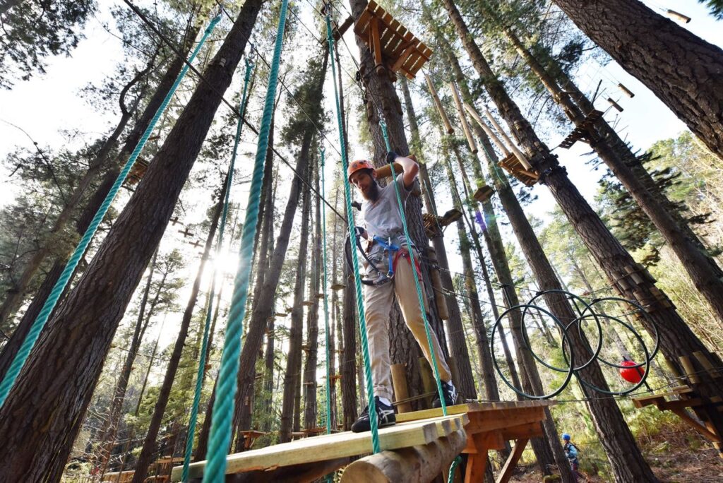 Adventure Awaits at Tasmania's Top Tree Ropes & Ziplining Attraction ...
