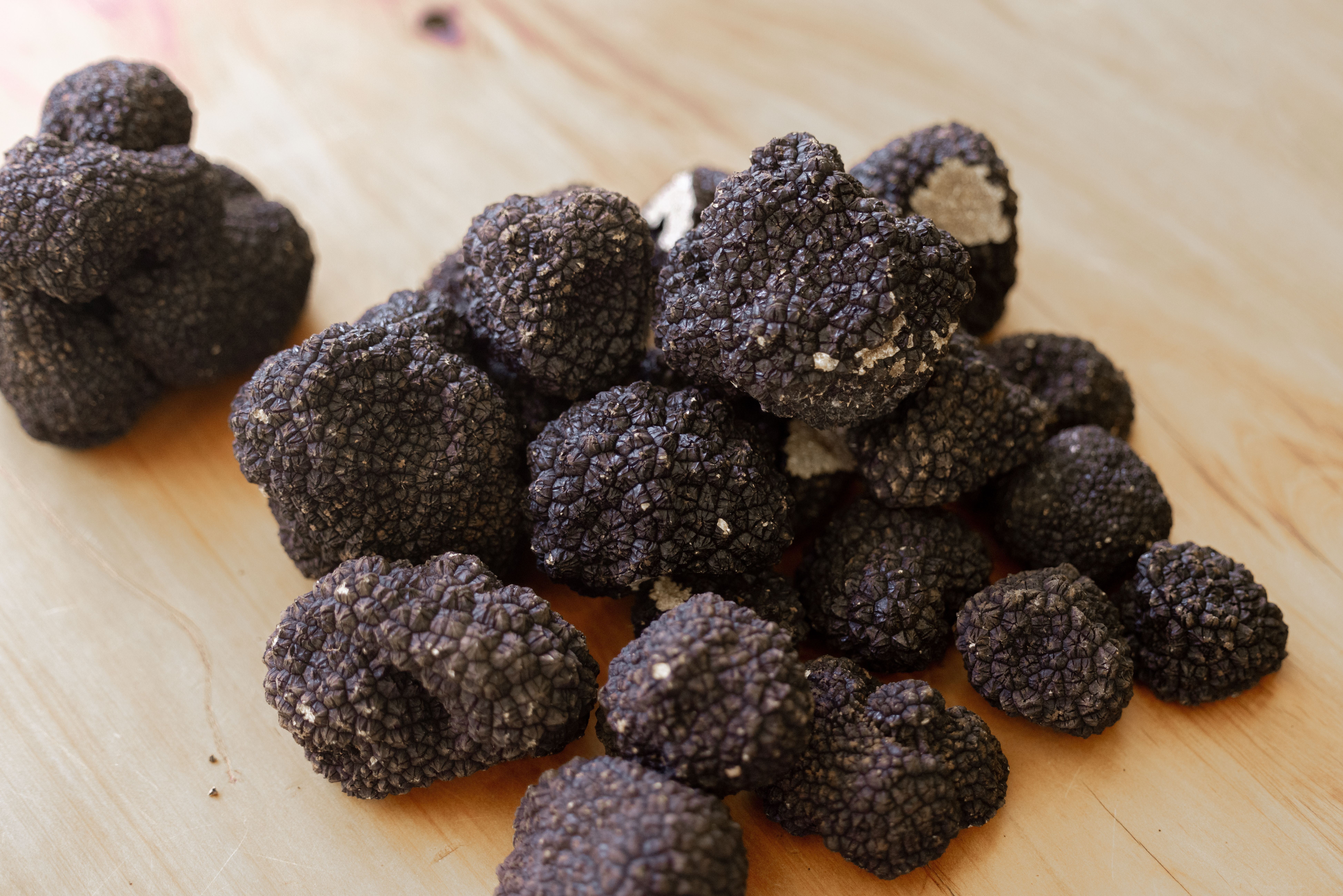 The Allure of Truffles in Tasmania: Unearthing a Culinary Treasure