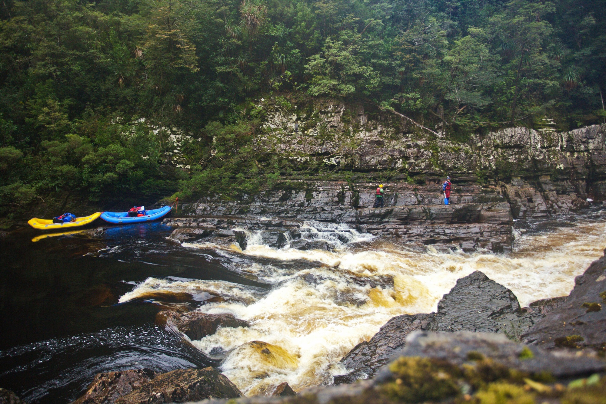 Franklin River Rafting 8-day Expedition | Tasmania Tours